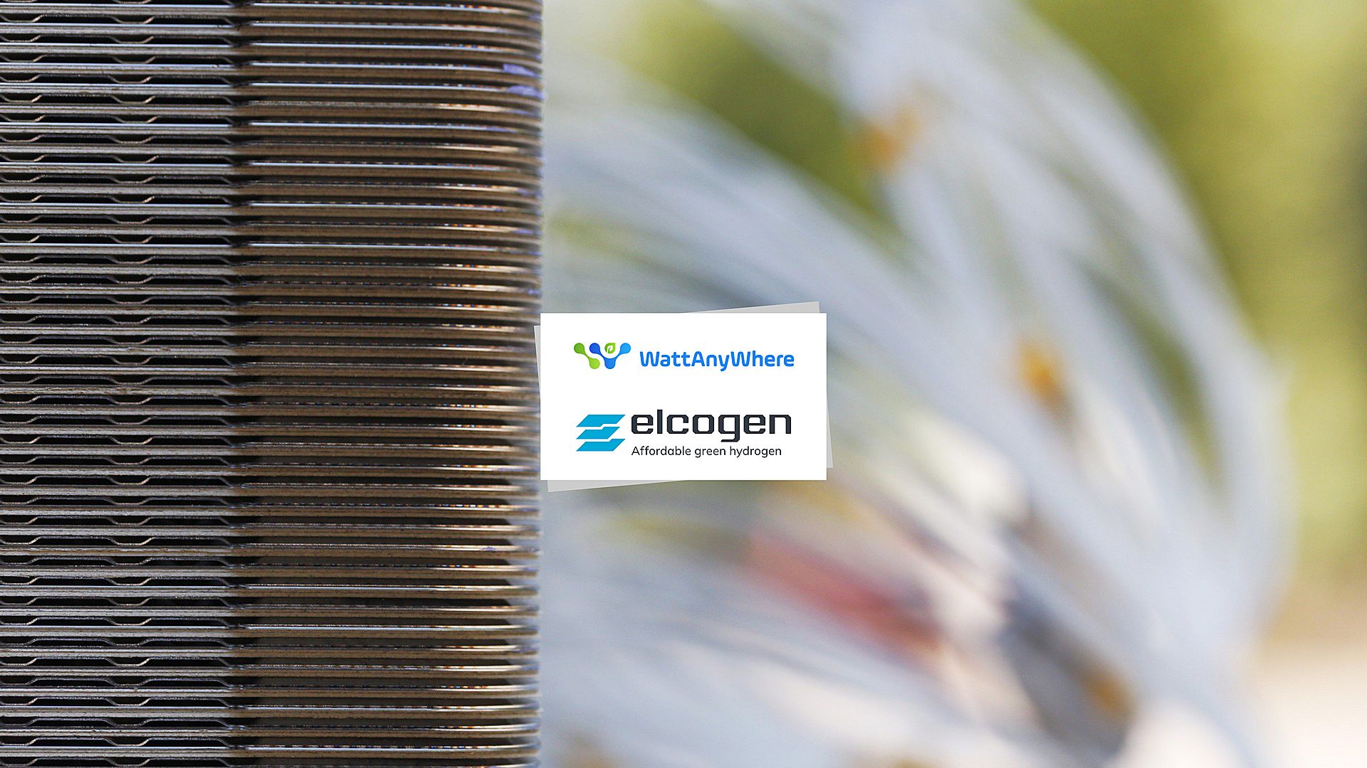 Client's feedback: WattAnyWhere's partnership with Elcogen in energy ...