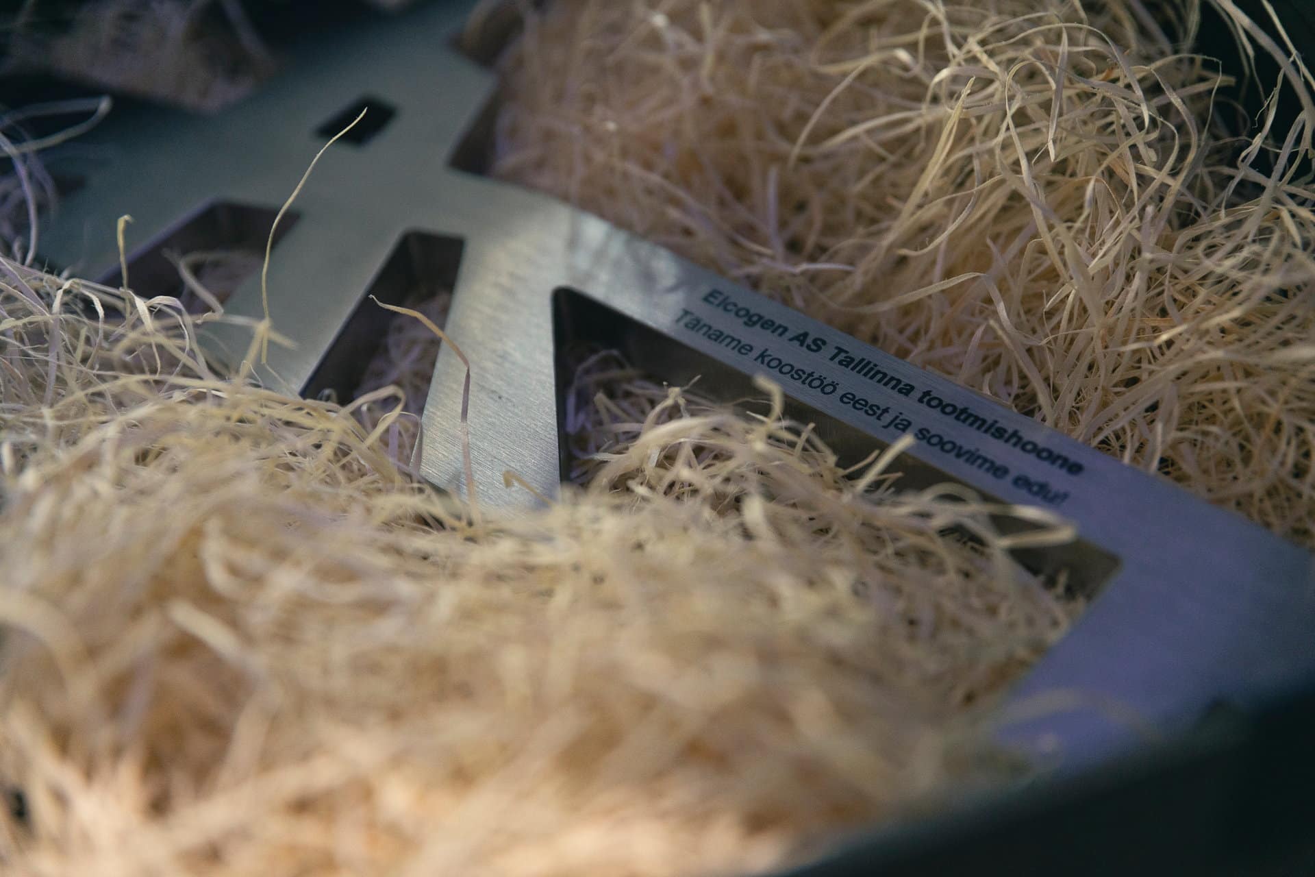 Elcogen launches new high-volume solid oxide fuel cell factory in ...